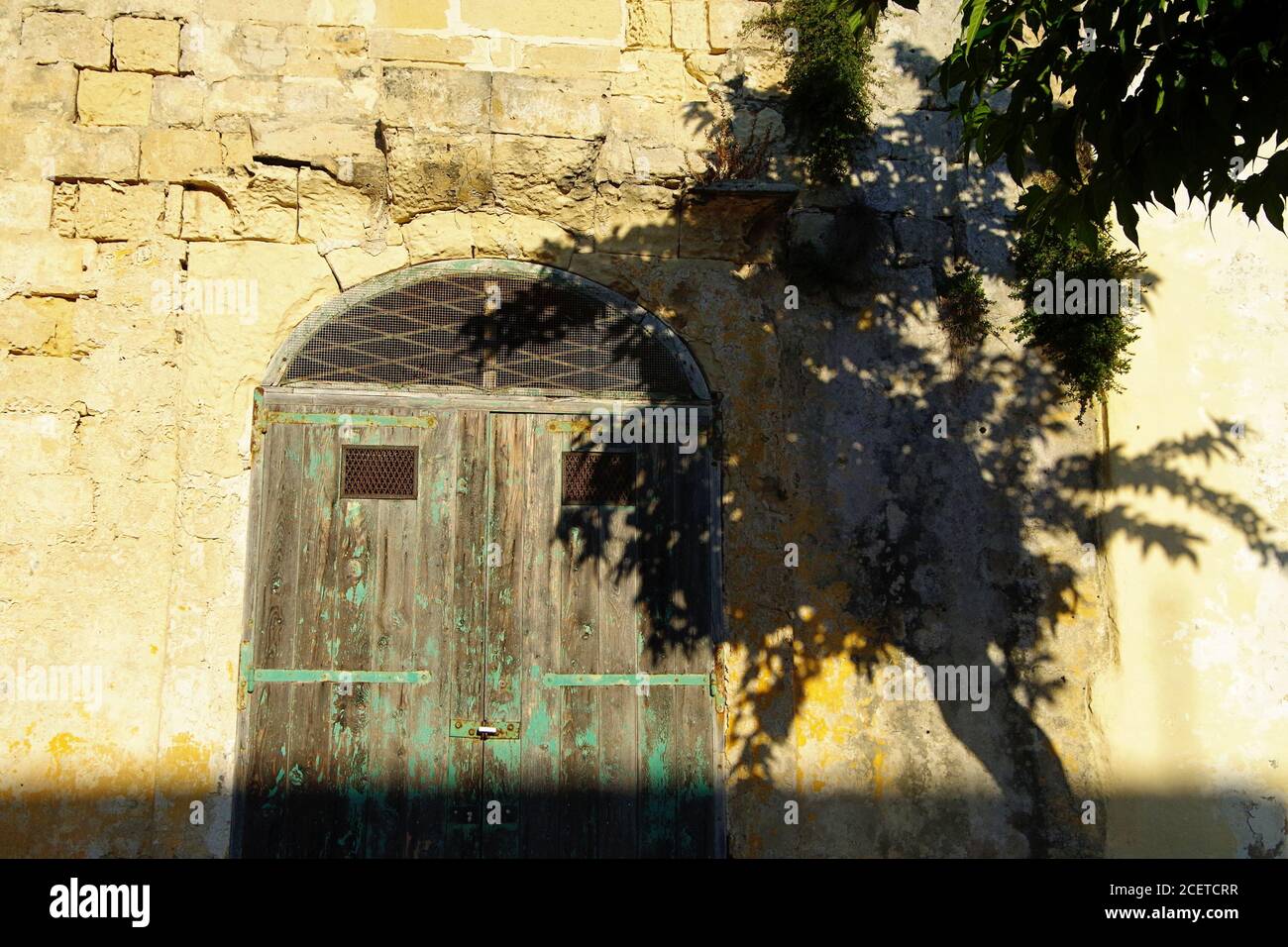 Tree shadow on the bricks hi-res stock photography and images - Alamy