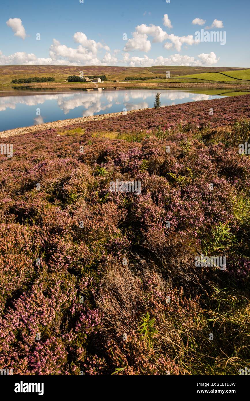 Grimwith house hi-res stock photography and images - Alamy