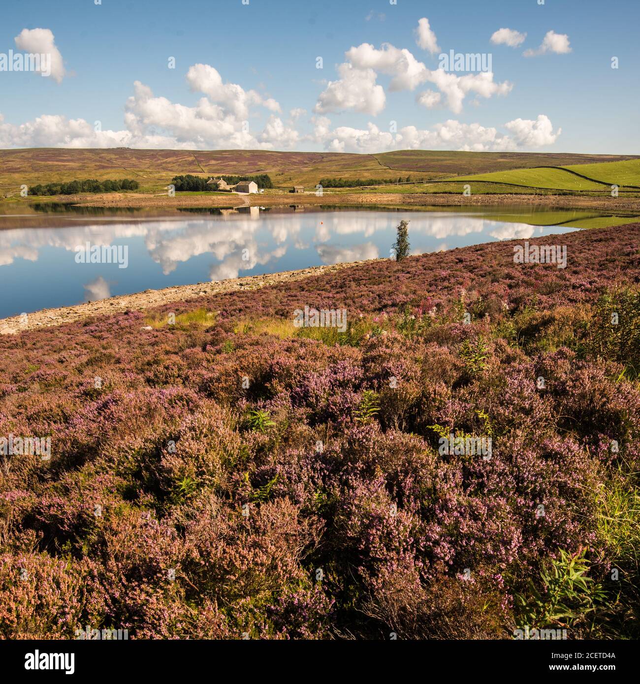 Grimwith house hi-res stock photography and images - Alamy