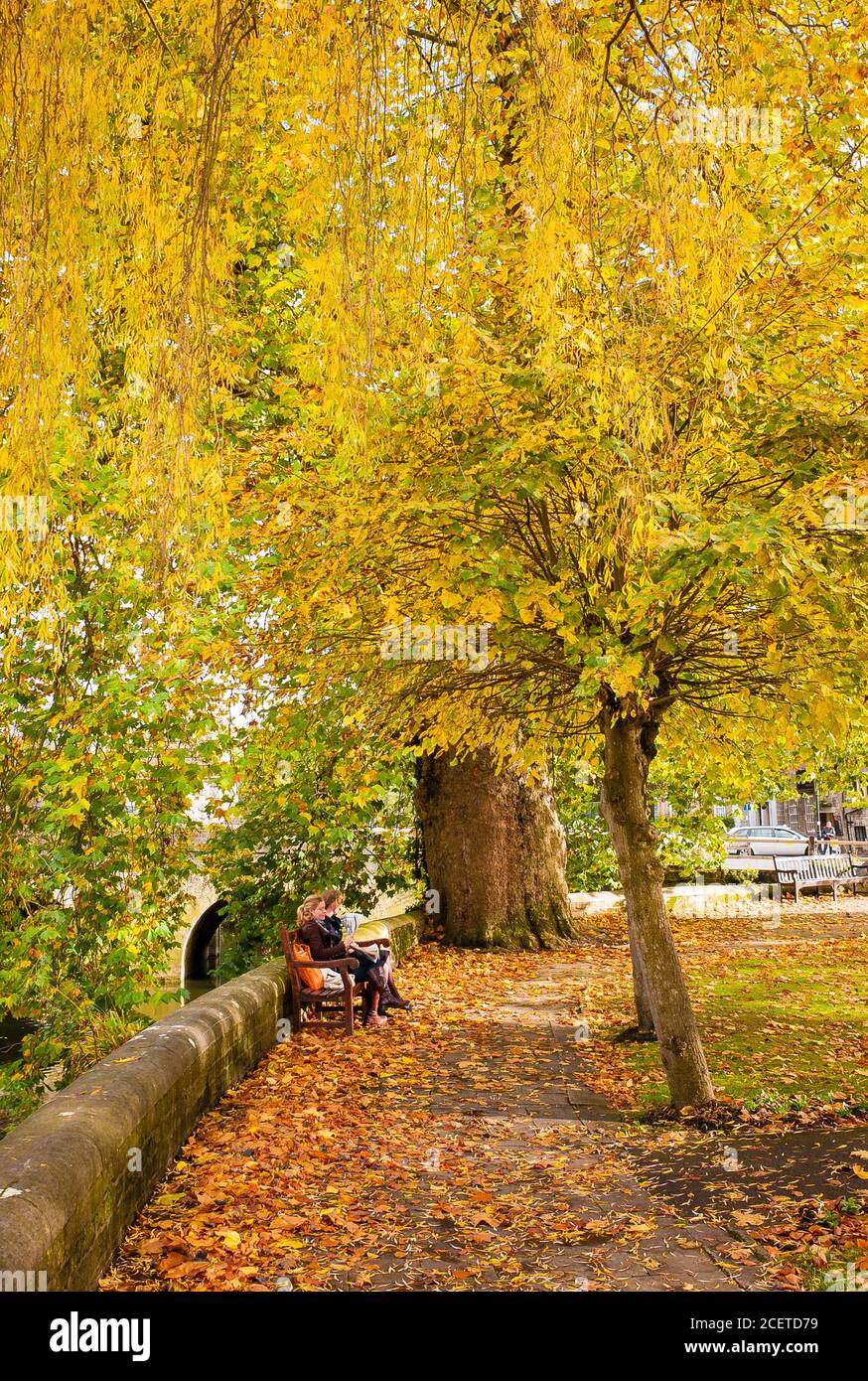 An attractive Autumn scene in a small public garden in Bradford on Avon ...