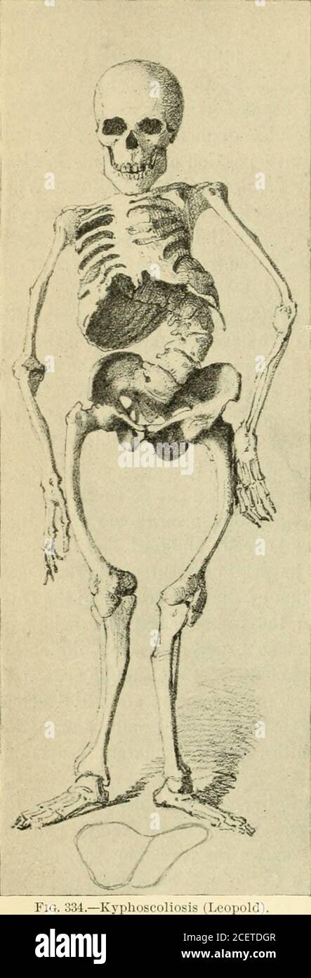 Coition hi-res stock photography and images - Alamy