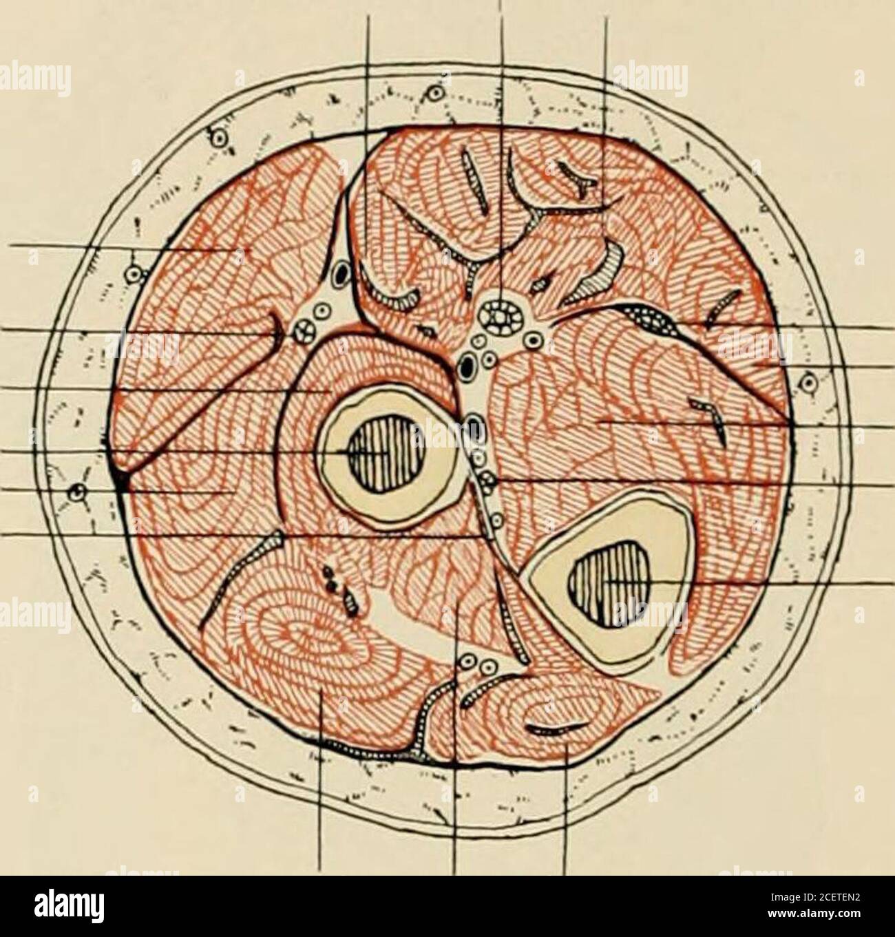 Rad cap hi-res stock photography and images - Alamy