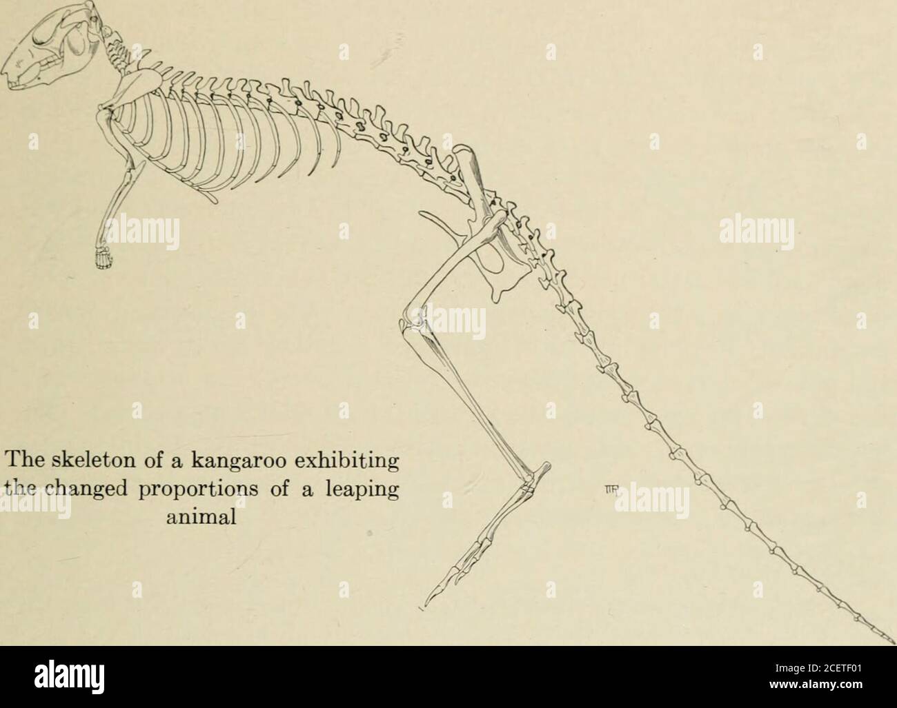 . Guide leaflet. hem as related. Here again is illustratedthe principle ...
