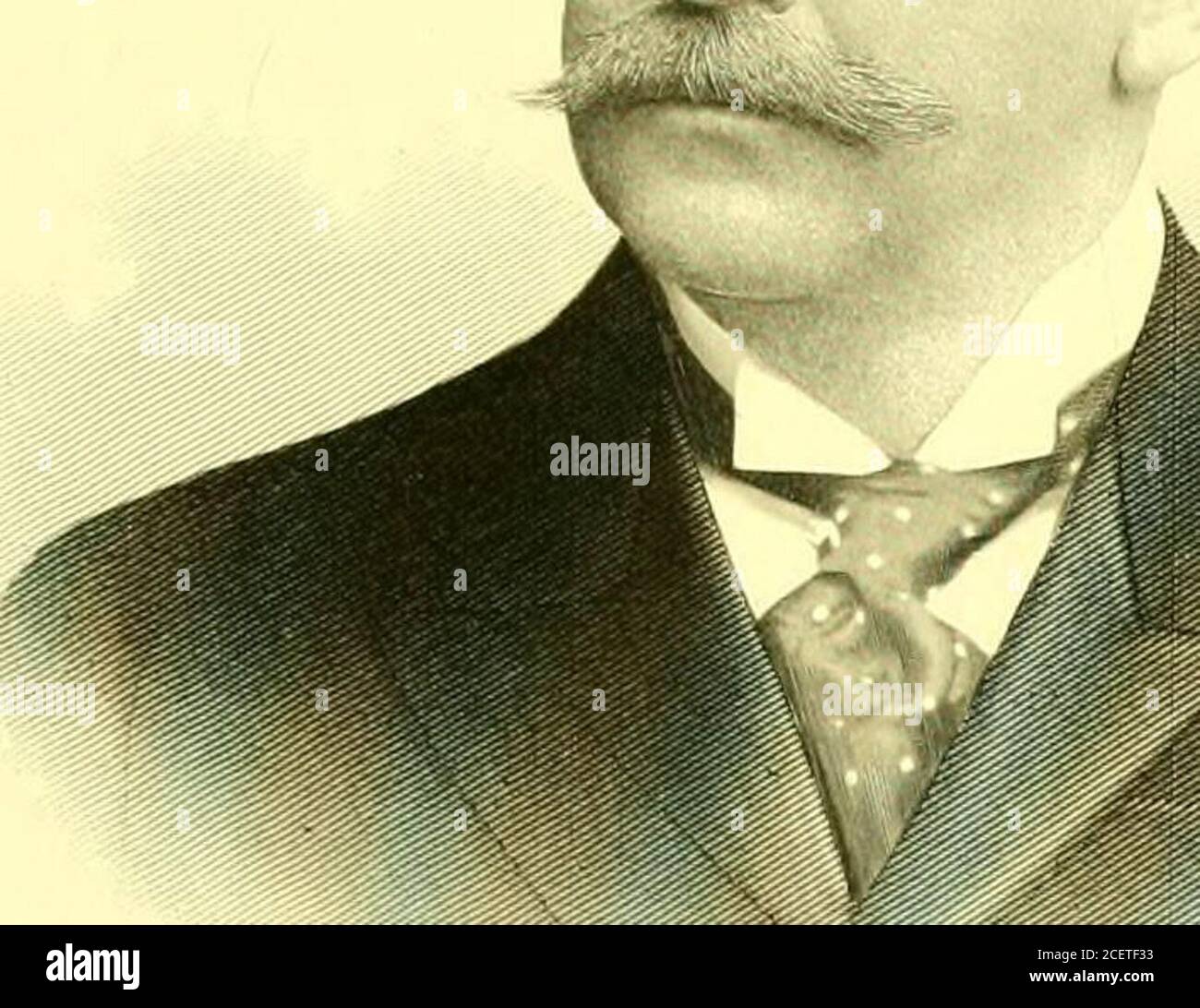 . New York state's prominent and progressive men;. ^. -^ Stock Photo ...