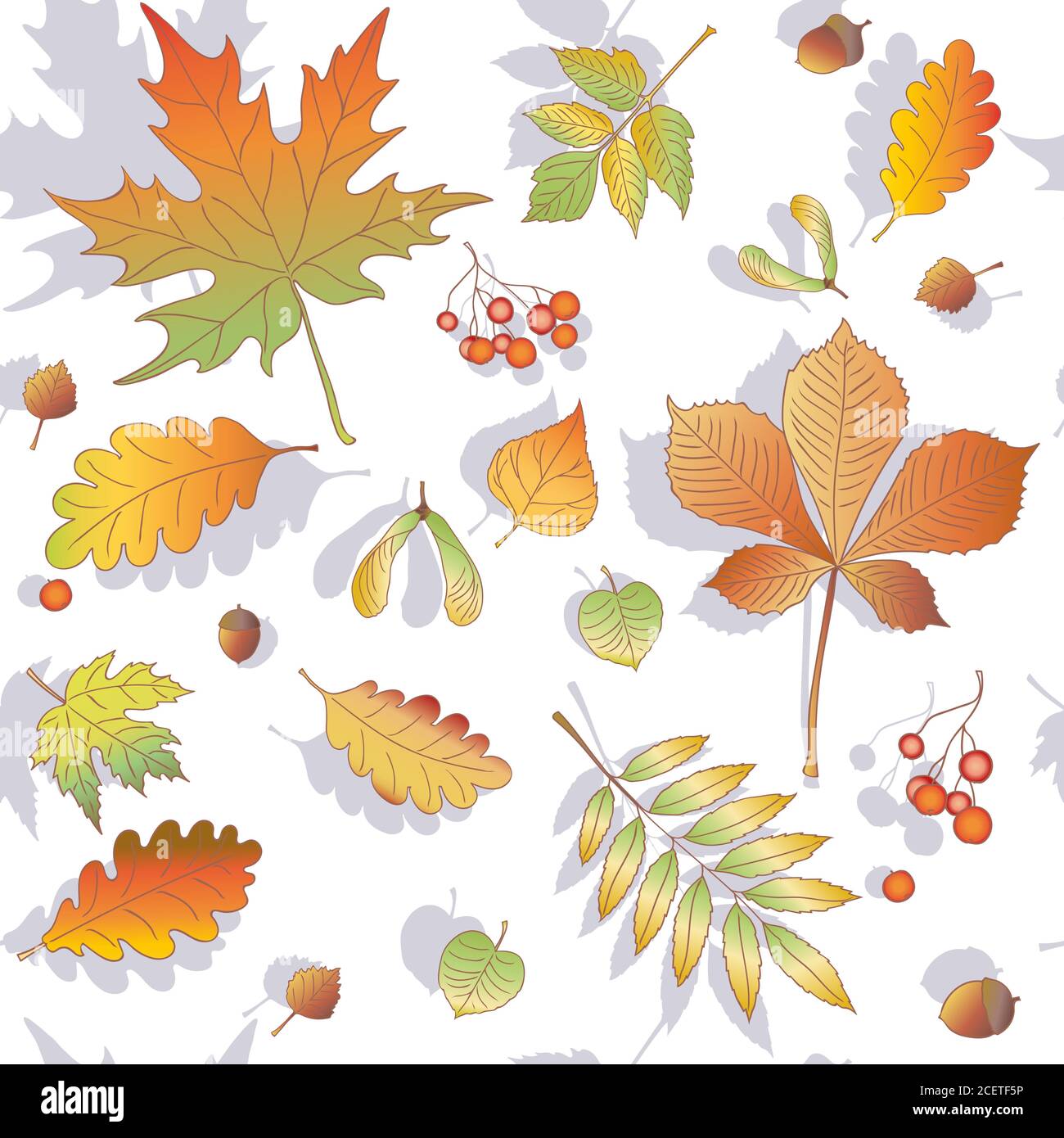 Fall and leaves. Image of tree leaves, graphic image of leaves, color ...