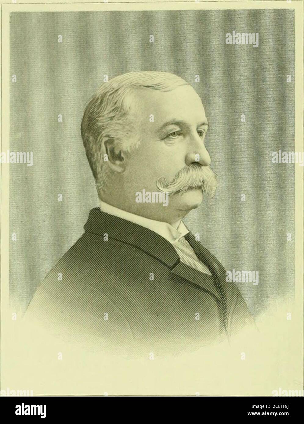 . New York state's prominent and progressive men;. y^^ y^t^ /^^ Stock ...