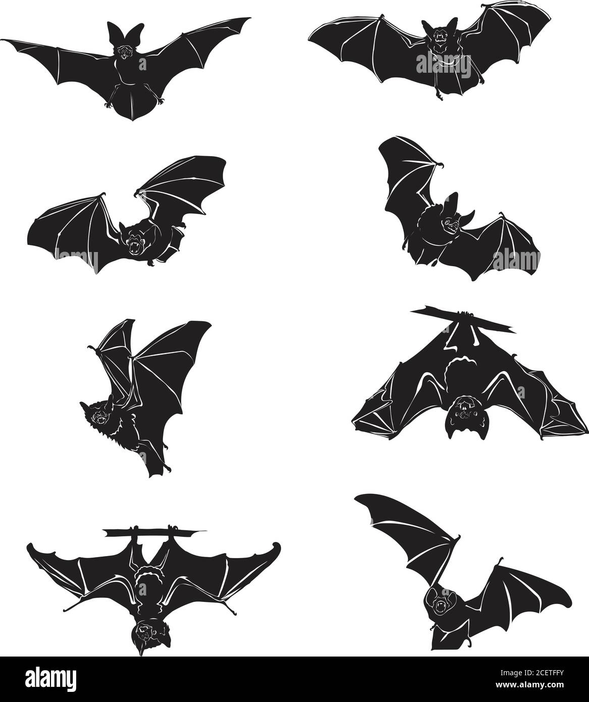 Bat, bat in flight, in motion, in different positions, vector ...