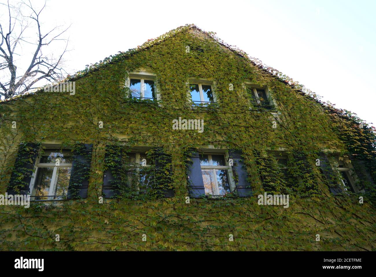 Low angle shot of a building covered in greenery from the outside Stock ...