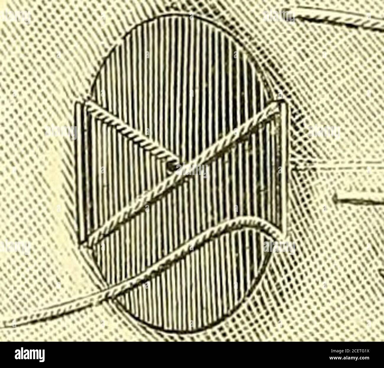 Capillary method hi-res stock photography and images - Alamy