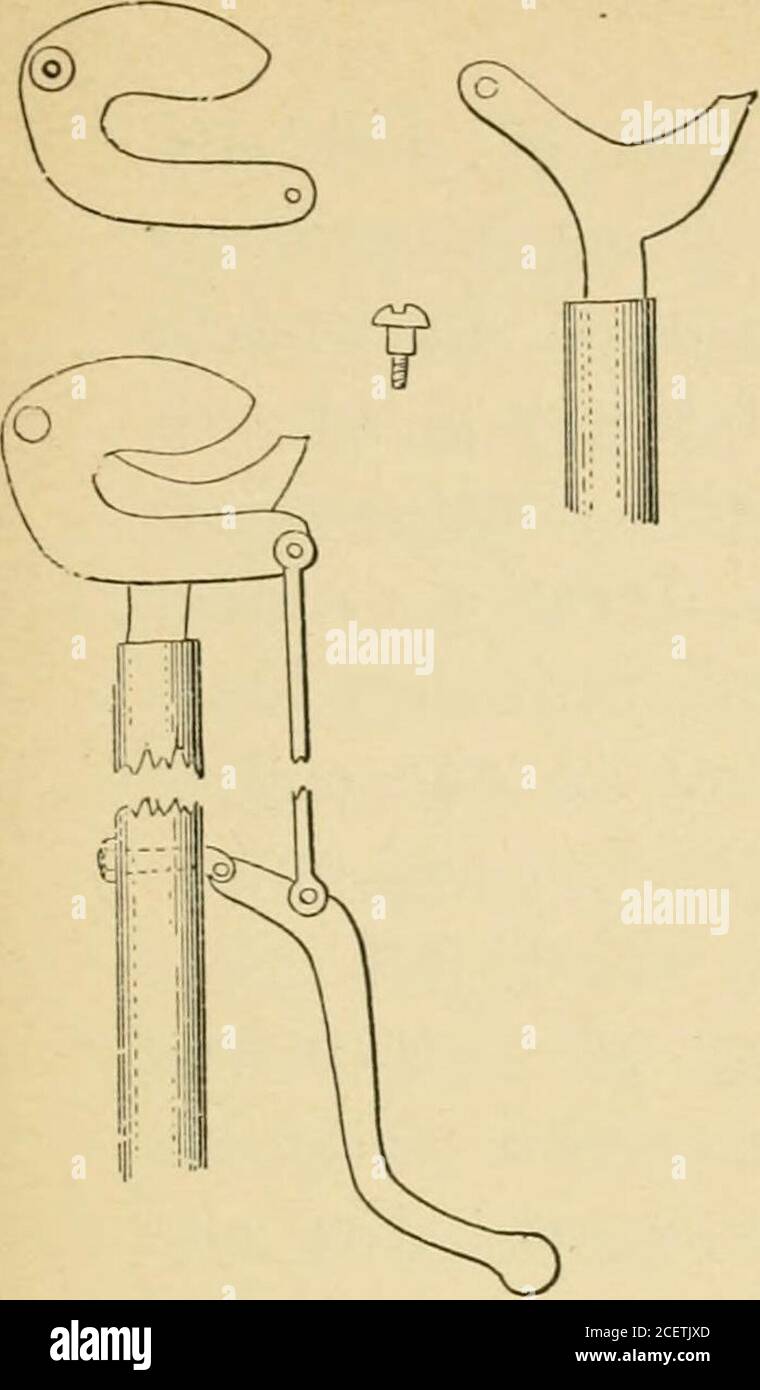 . The pruning-book; a monograph of the pruning and training of plants ...