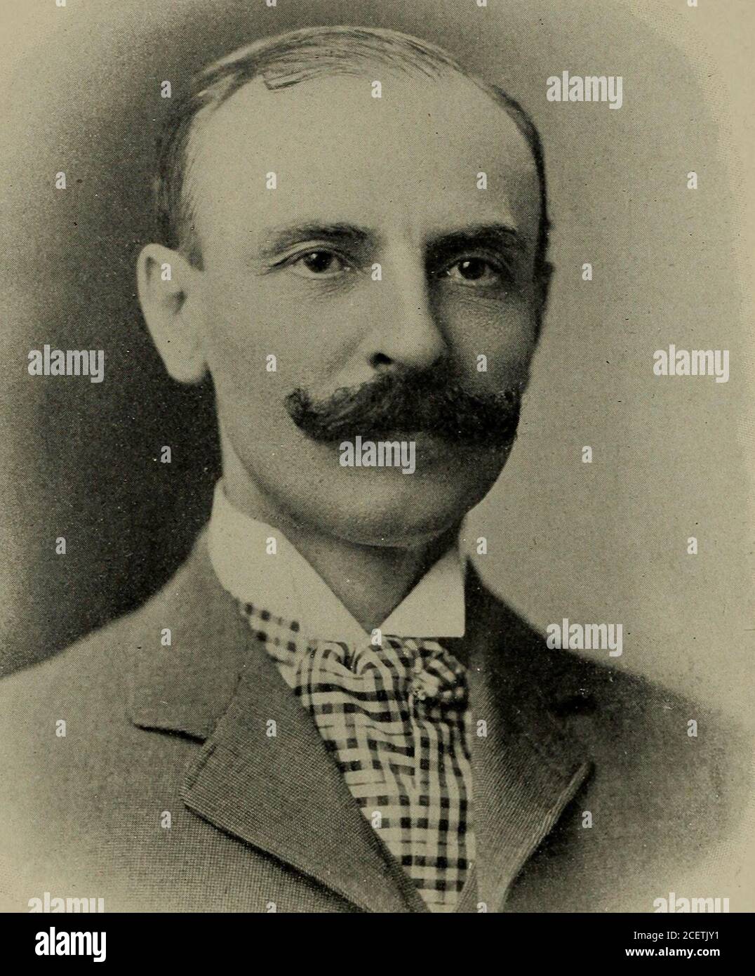 Bookidhistoryofillinoi00raum hi-res stock photography and images - Alamy