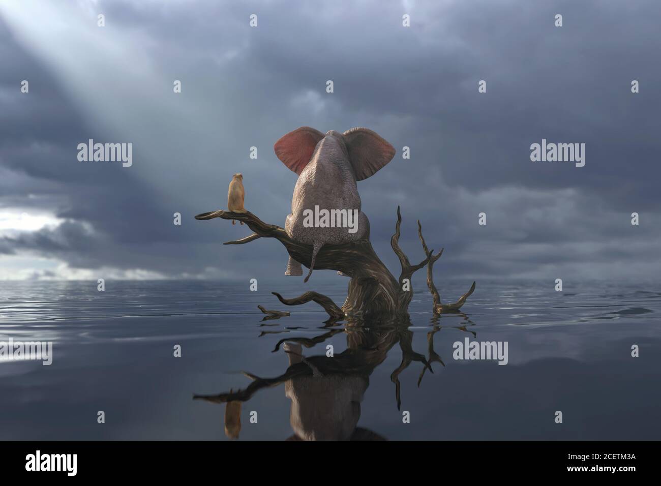 elephant and dog are sitting on a tree in flood Stock Photo - Alamy