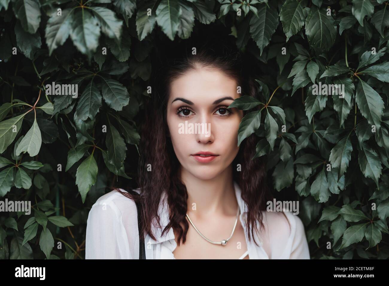 Portrait of a woman in the bushes Stock Photo - Alamy