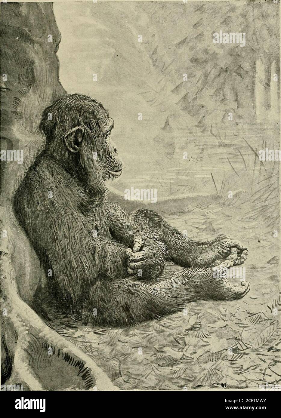 Welle l hi-res stock photography and images - Alamy