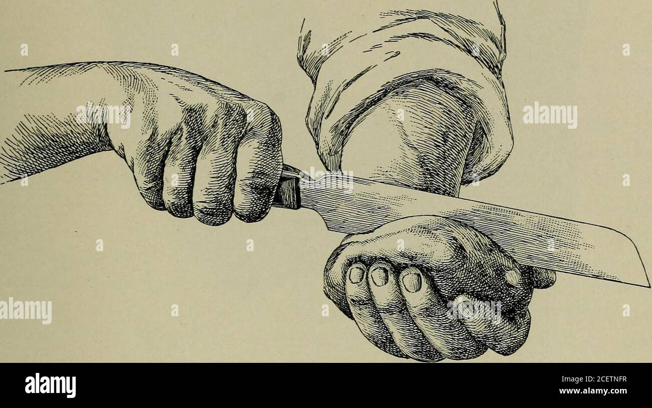 . Postmortem pathology; a manual of the technic of post-mortem ...