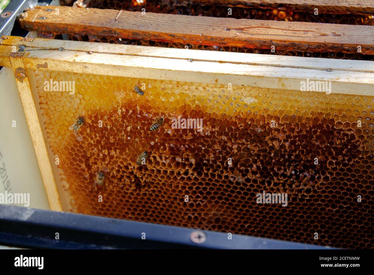 Interior beehive hi-res stock photography and images - Alamy