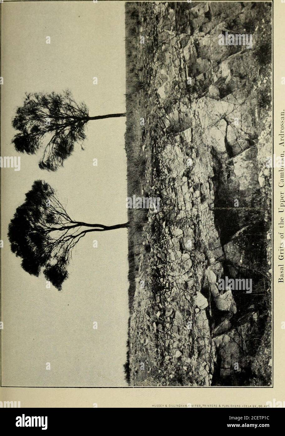 Basal sliding hi-res stock photography and images - Alamy