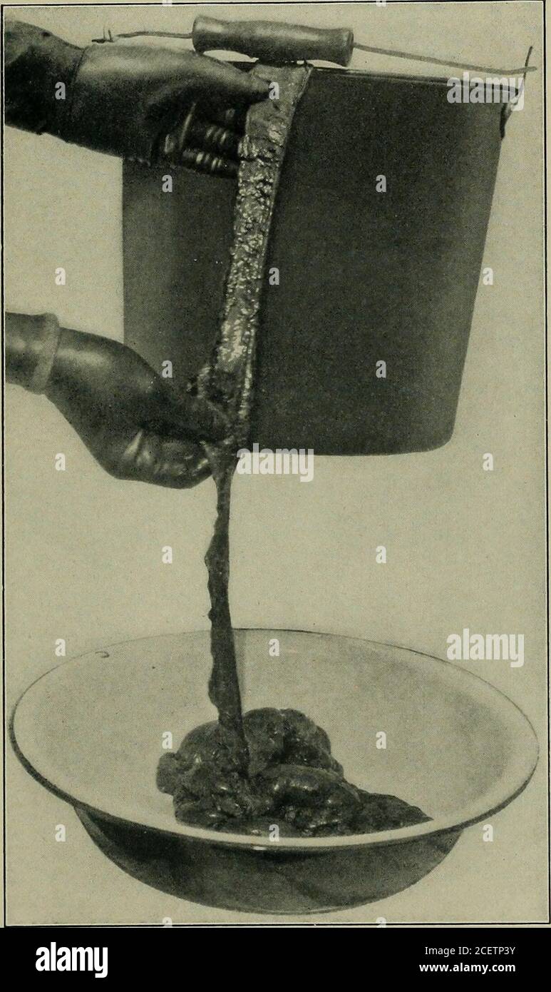 . Postmortem pathology; a manual of the technic of post-mortem ...