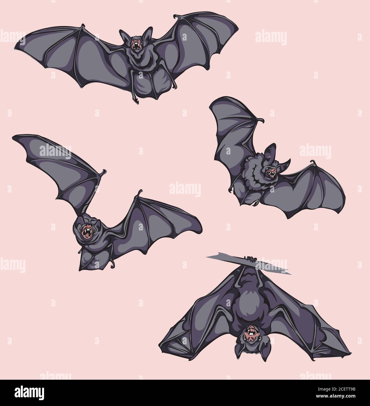 Bat, bat in flight, in motion, in different positions, vector ...