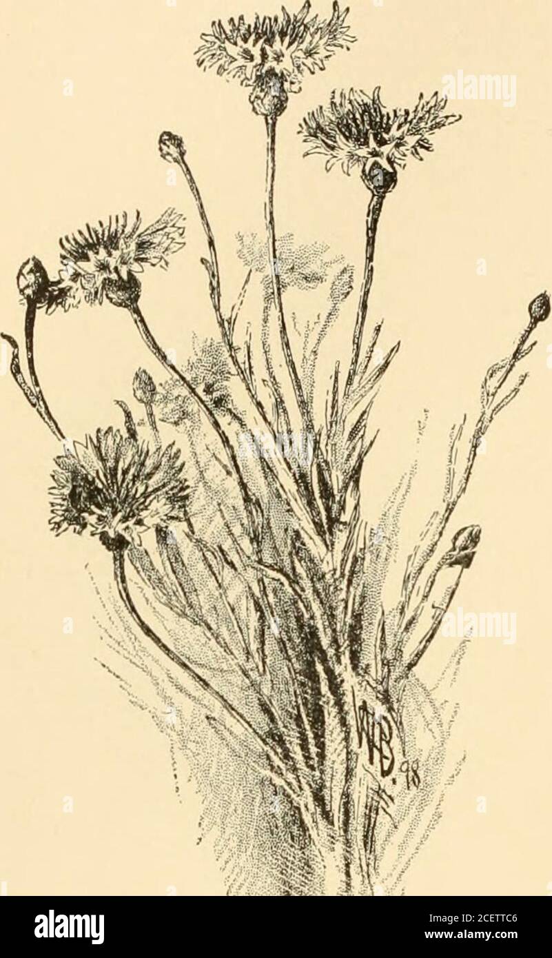 Yellow trian hi-res stock photography and images - Alamy