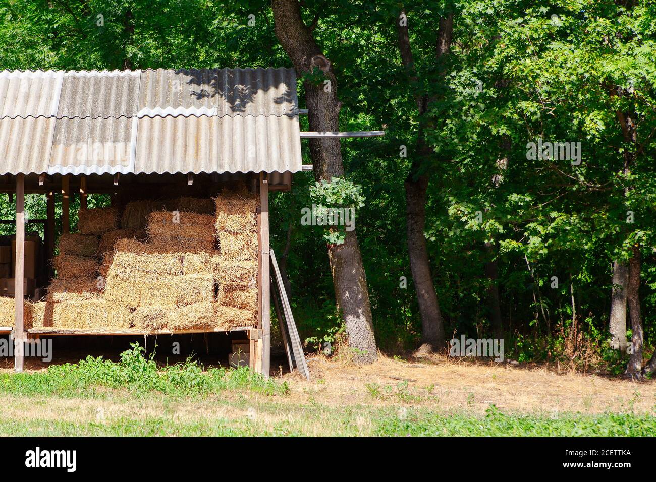 Hay and fodder shed in the forest for feeding wild animals Stock Photo ...