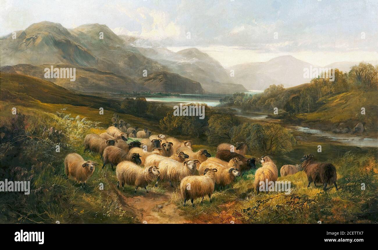 Adam Joseph Denovan - Sheep in an Extensive Highland Landscape ...