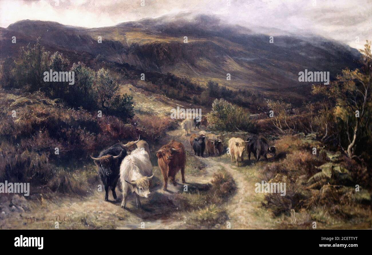 Adam Joseph Denovan - Highland Cattle on a Drove Road - British School ...