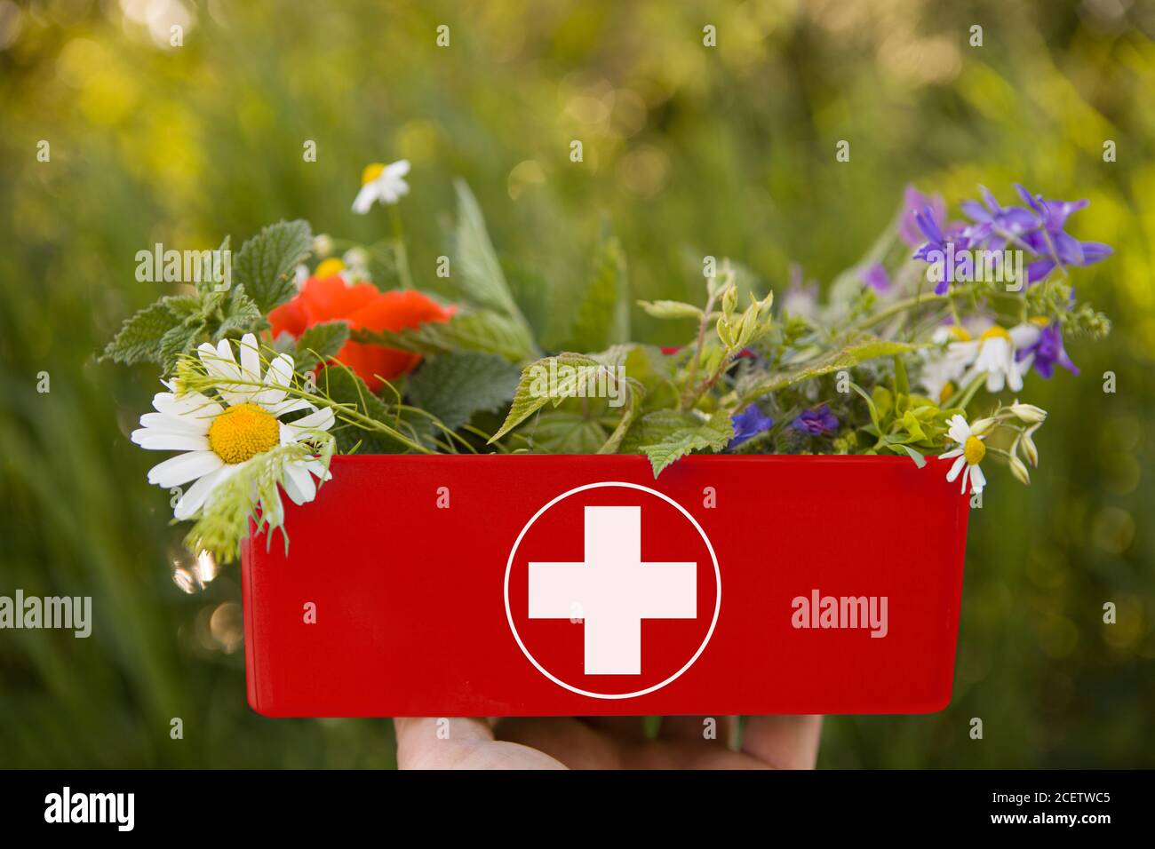 Herbal Medicine in a first aid box - HOMEOPATHY Stock Photo - Alamy