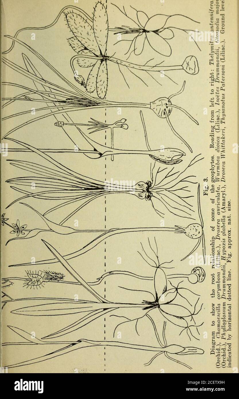 . Transactions and proceedings and report of the Philosophical Society ...