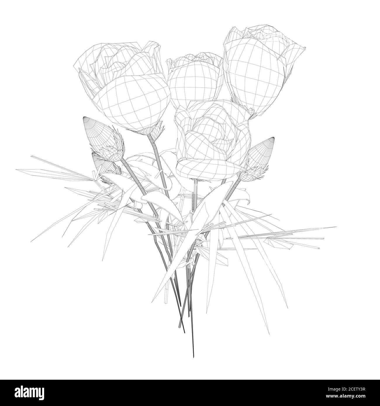 Wireframe with roses from black lines on a white background. Side view ...