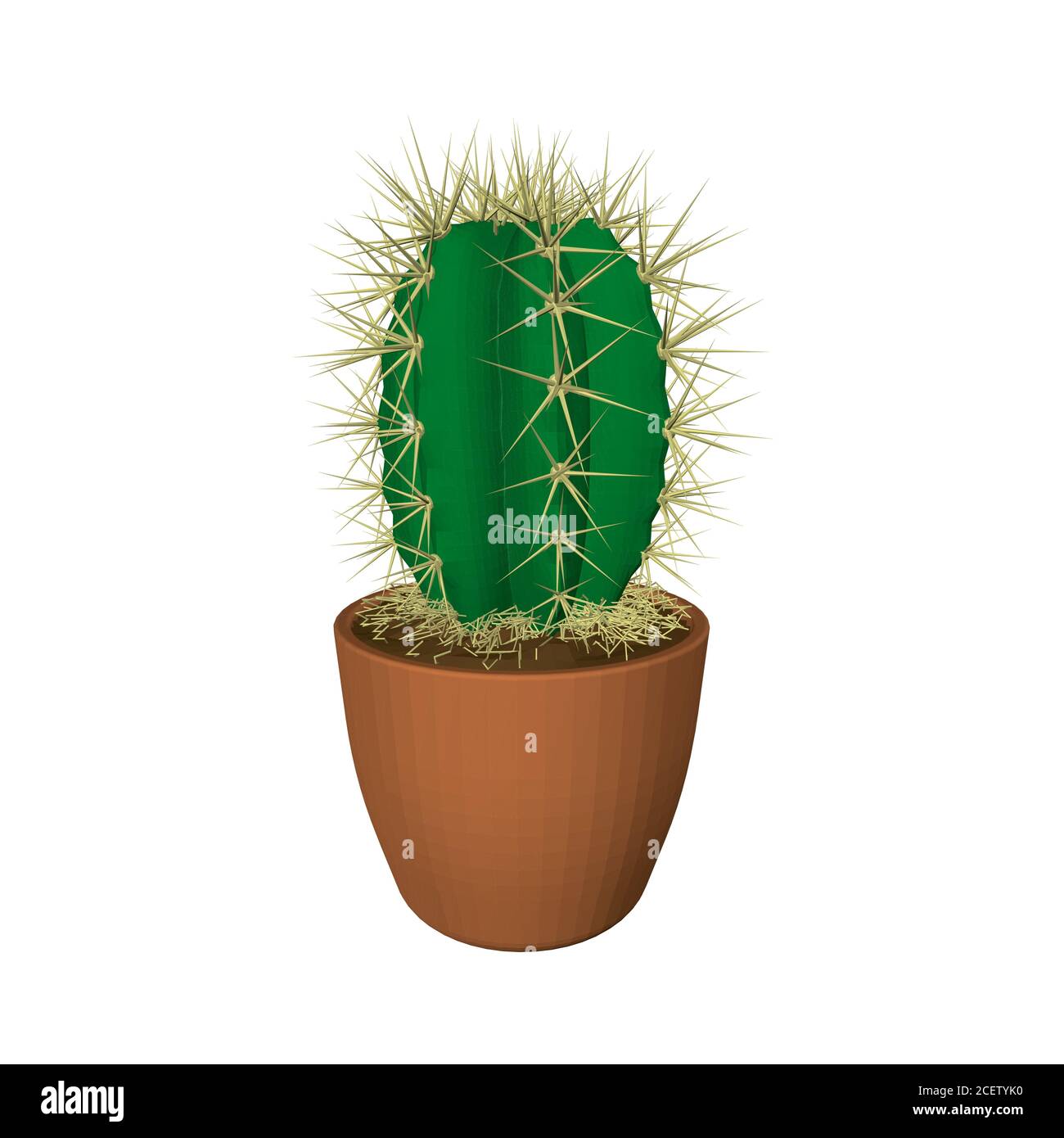 Cactus pot side view Stock Vector Images - Alamy