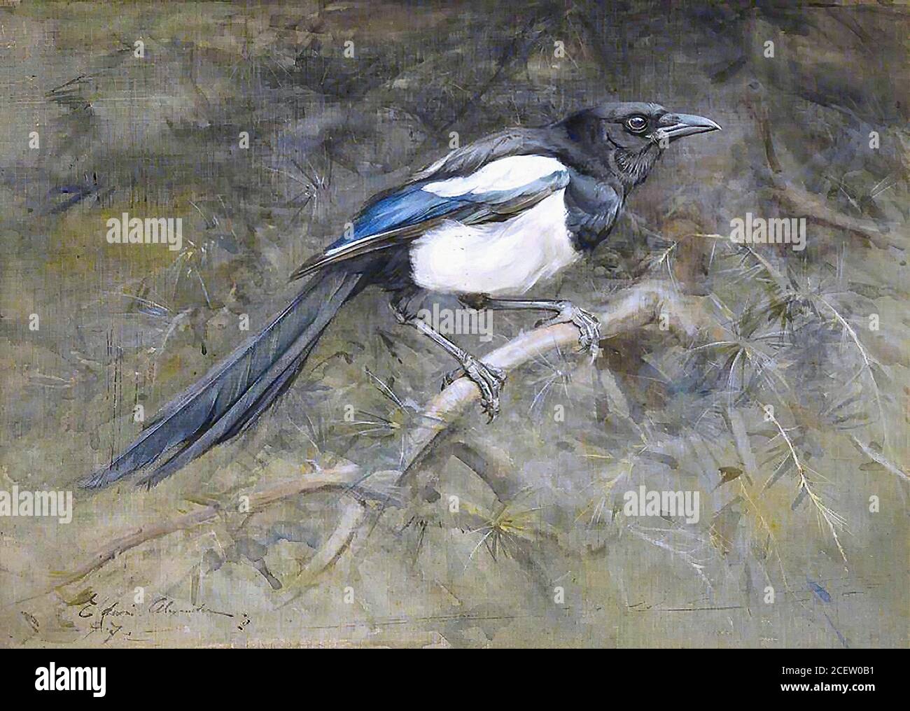 Alexander Edwin John - the Magpie - British School - 19th Century Stock ...