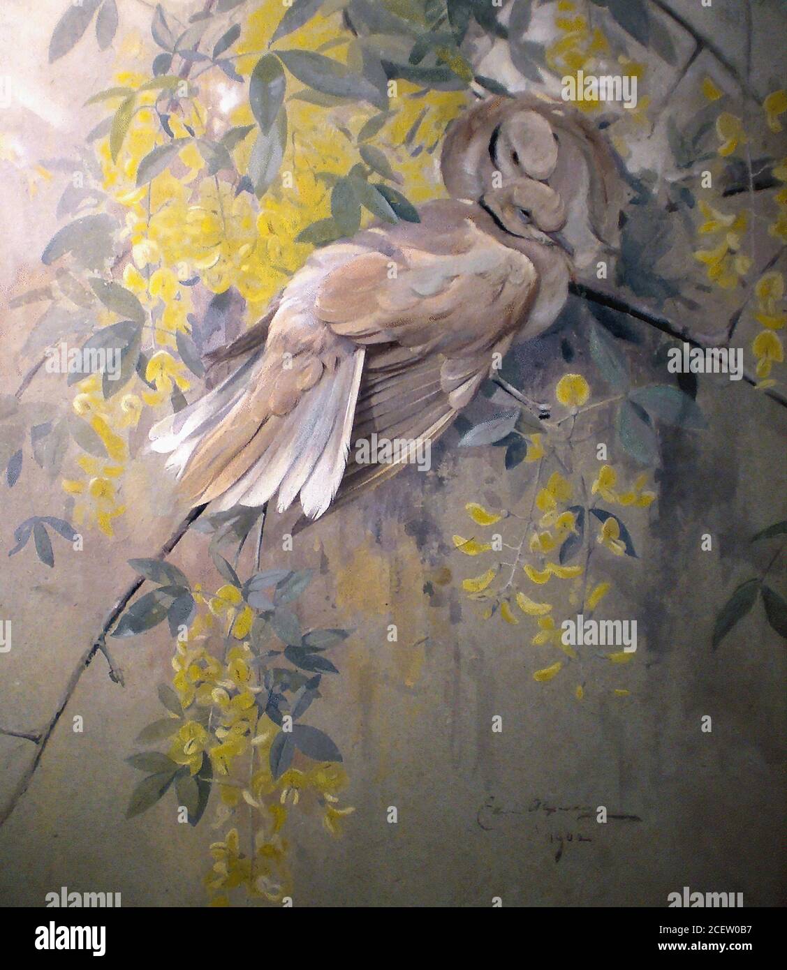 Alexander Edwin John - Doves and Laburnum - British School - 19th ...