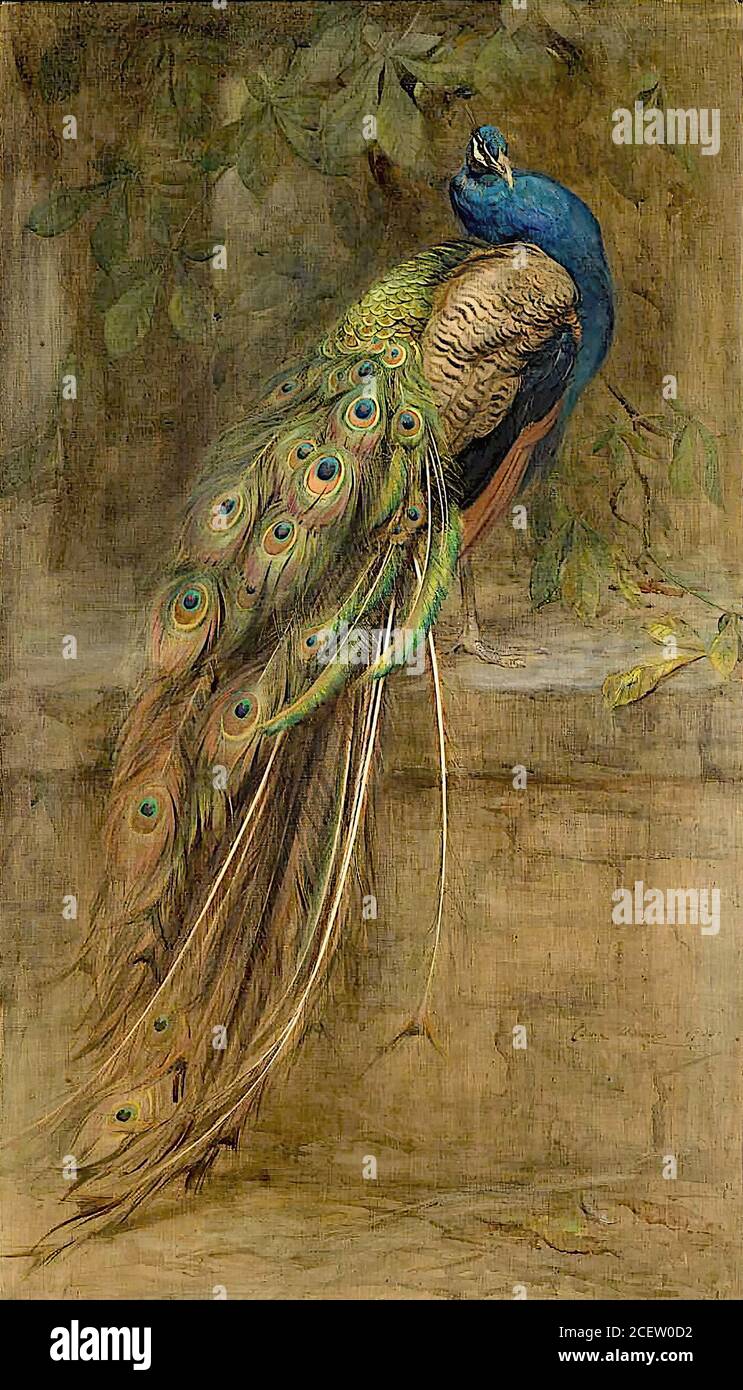 Alexander Edwin John - the Peacock - British School - 19th Century ...