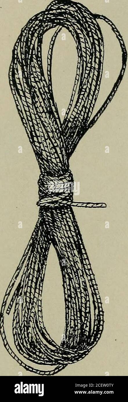 . Postmortem pathology; a manual of the technic of post-mortem ...