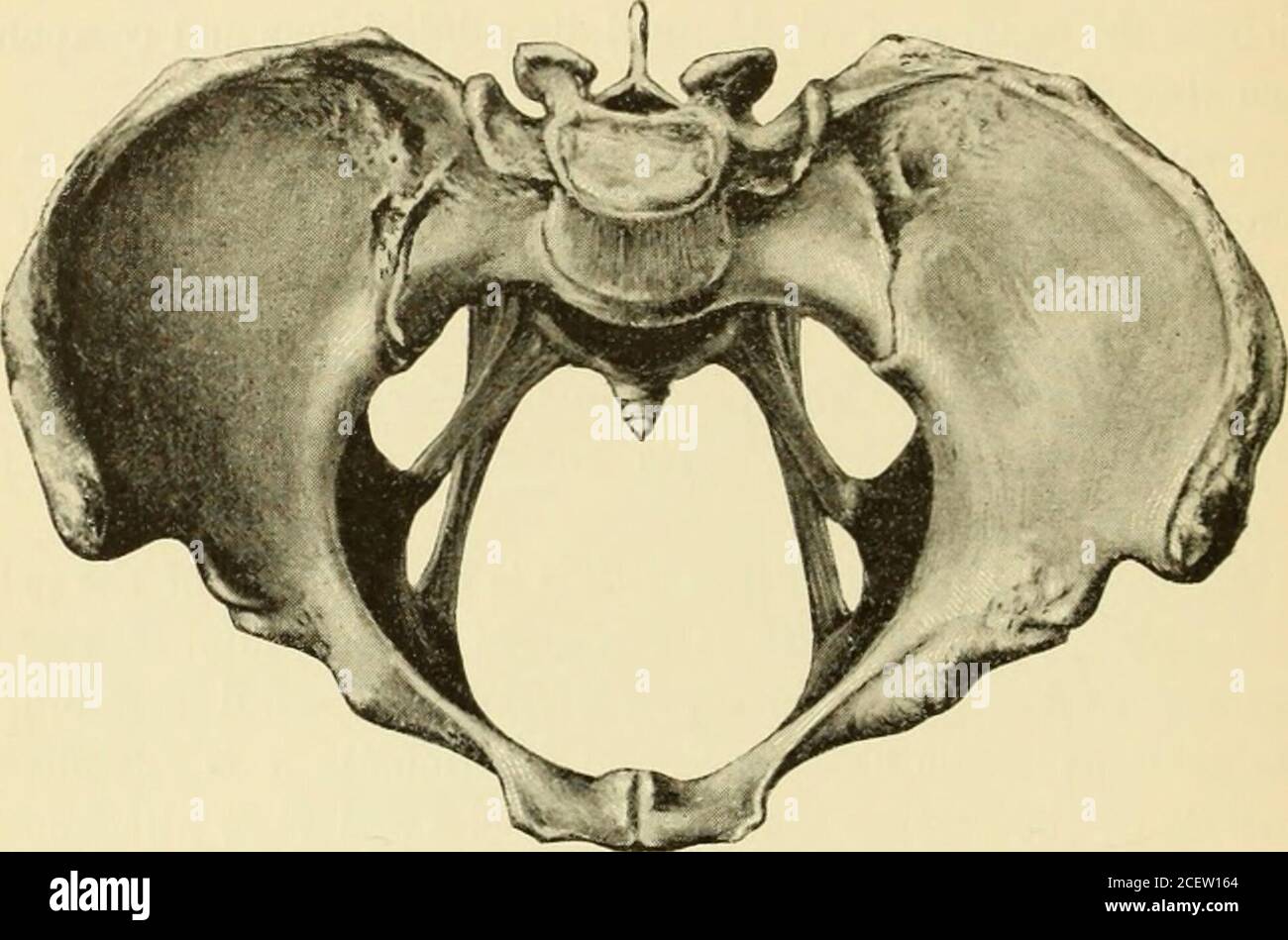 Línea normal hi-res stock photography and images - Alamy