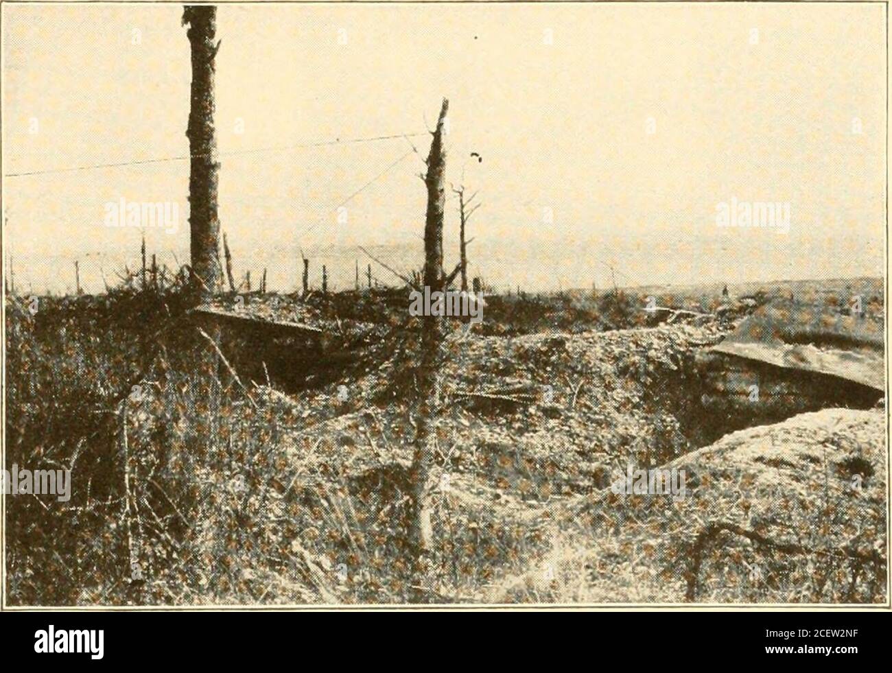 130th machine gun battalion hi-res stock photography and images - Alamy