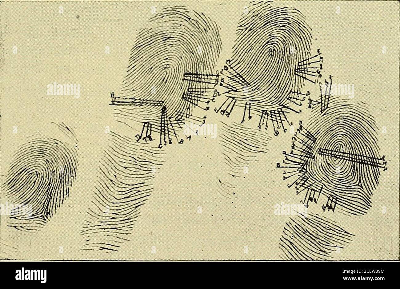 . Personal identification; methods for the identification of ...