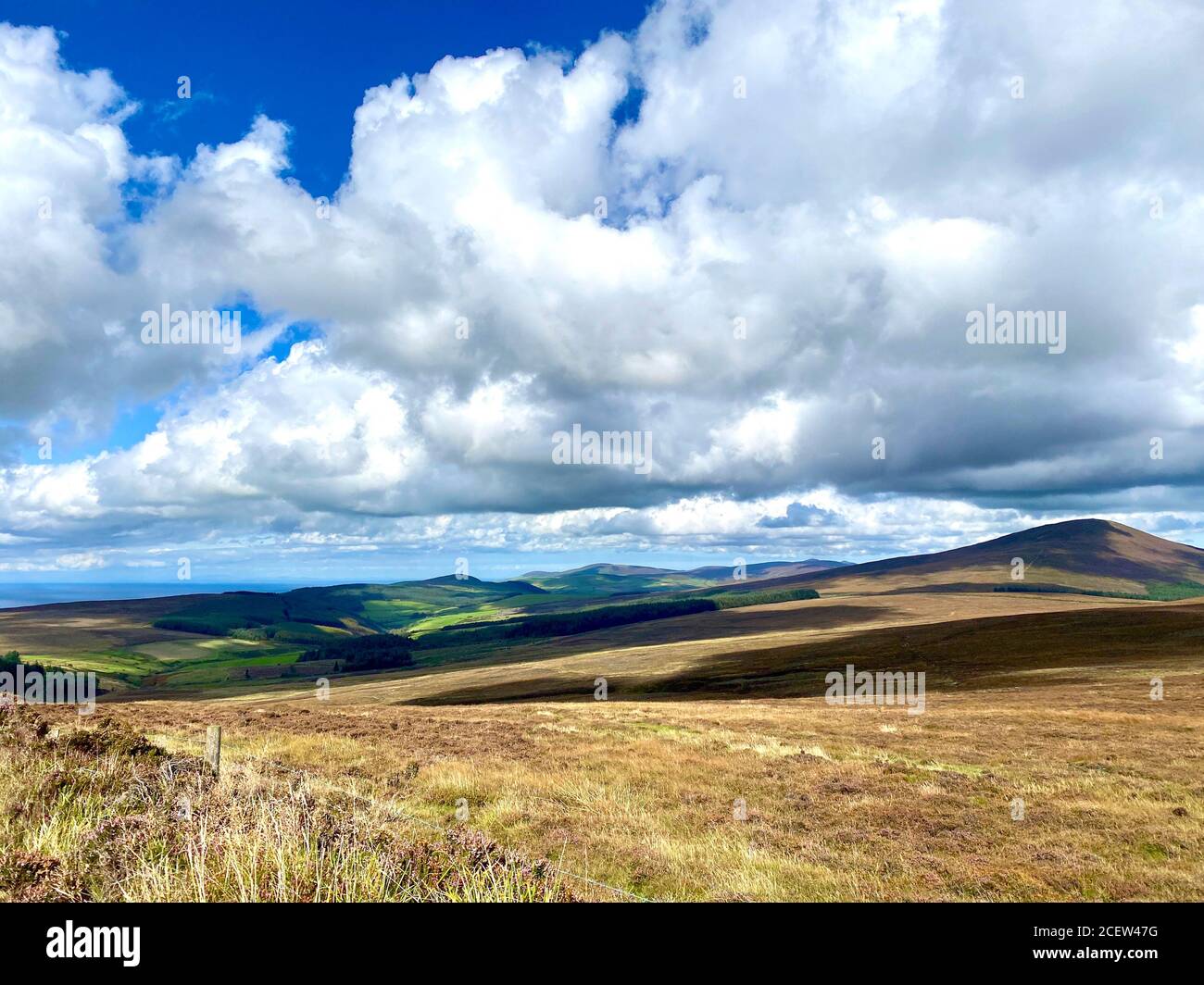 Heather flowering in autumn on moorland in the Isle of Man Stock Photo ...