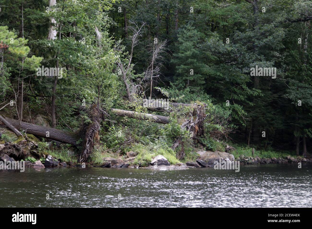 Severn river part of trent severn waterway hi-res stock photography and ...