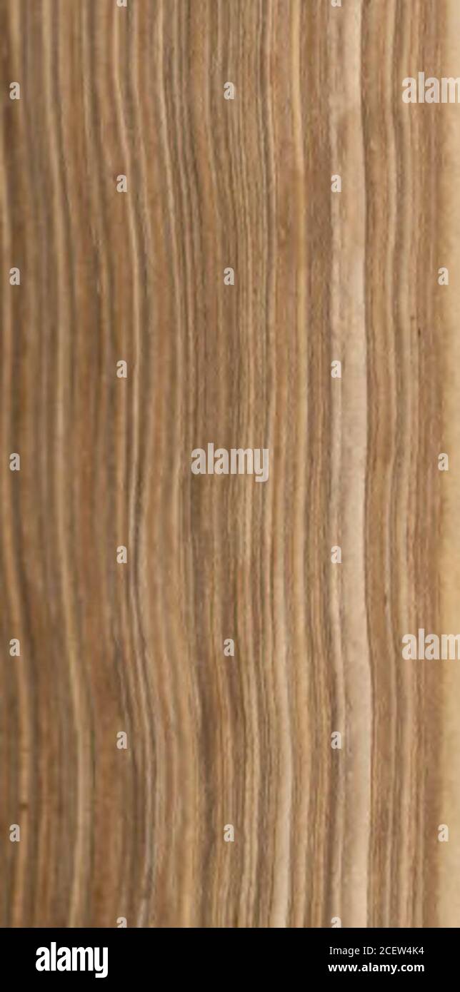 Inferia hi-res stock photography and images - Alamy