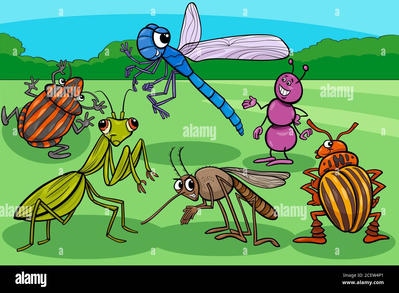 Striped mantis Stock Vector Images - Alamy