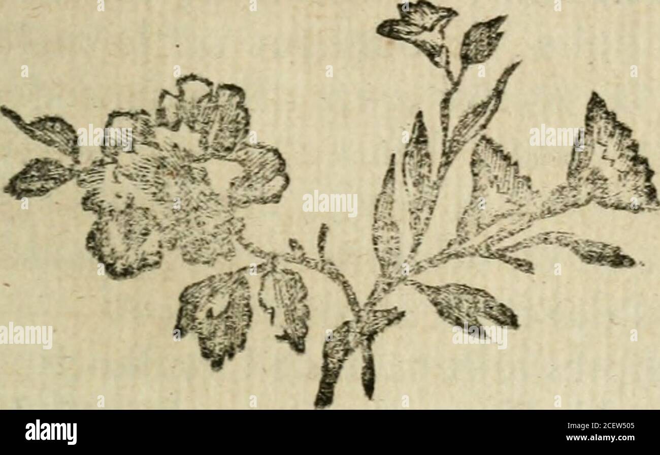 Lois de la route hi-res stock photography and images - Alamy