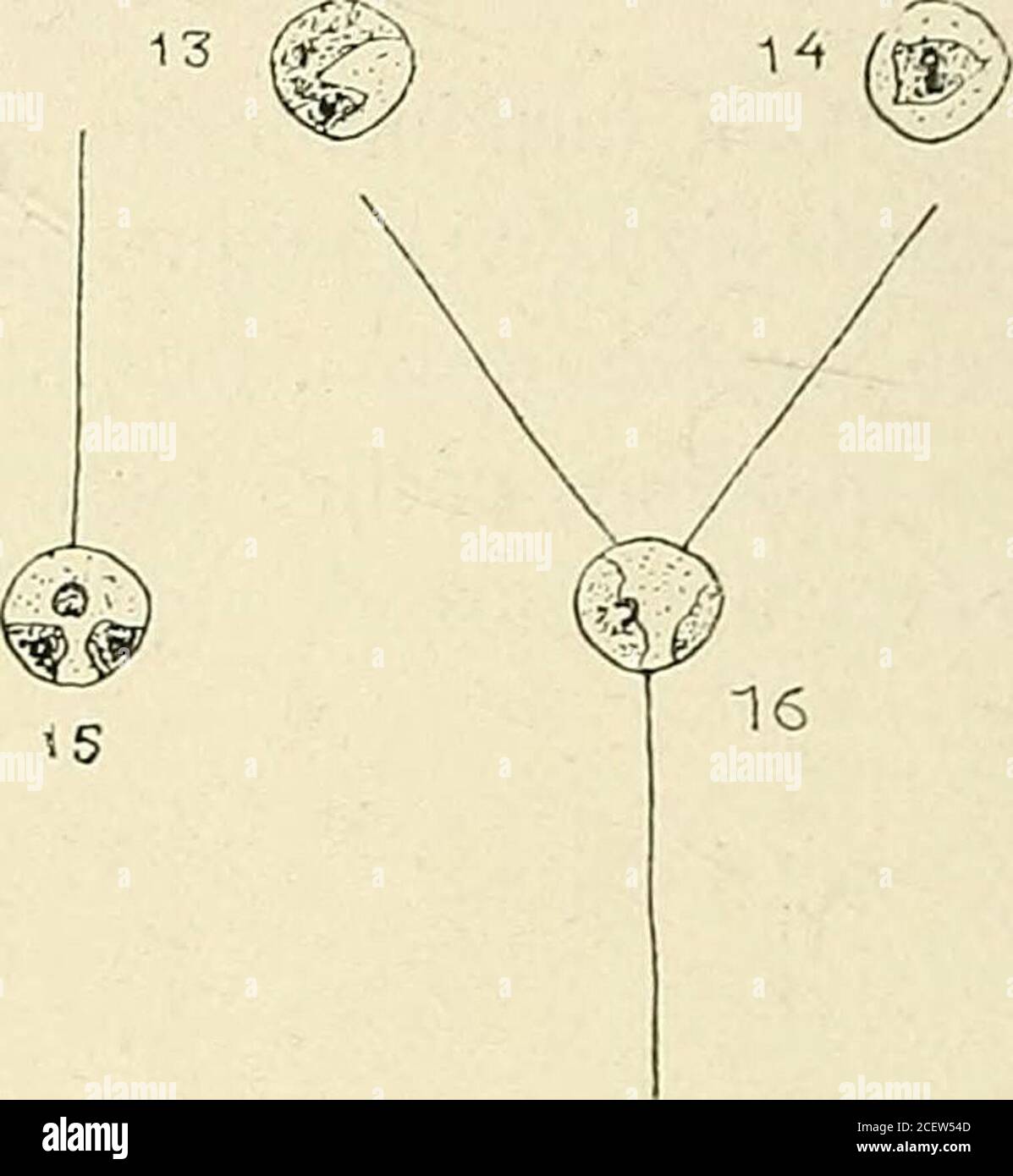 Profil de bord hi-res stock photography and images - Alamy