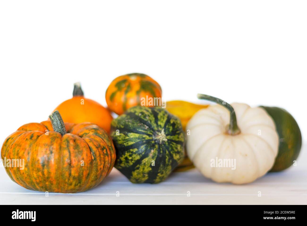 All kinds of pumpkins hi-res stock photography and images - Alamy