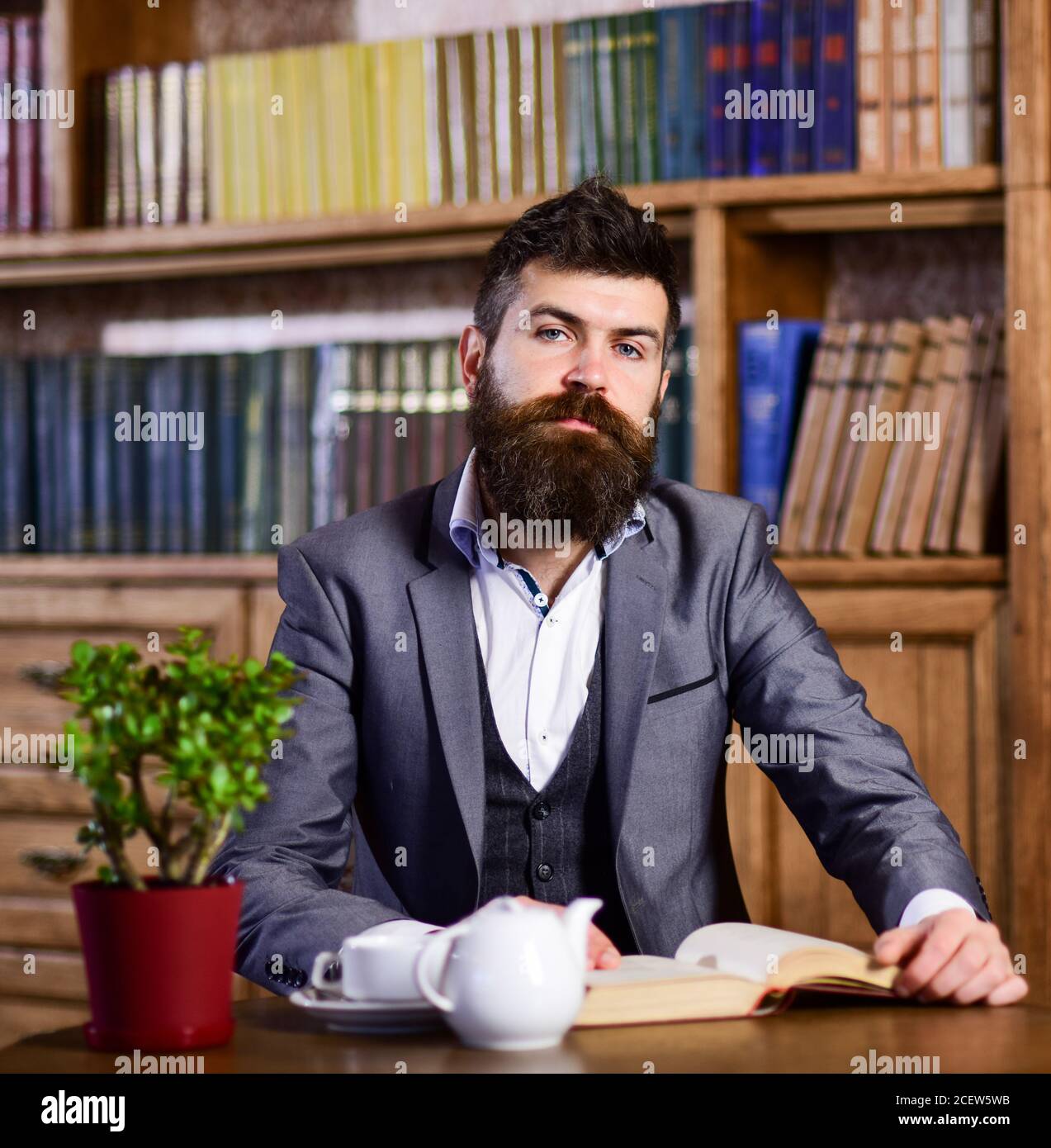 A bearded man reading a book with cup of tea and tea pot Stock Photo ...