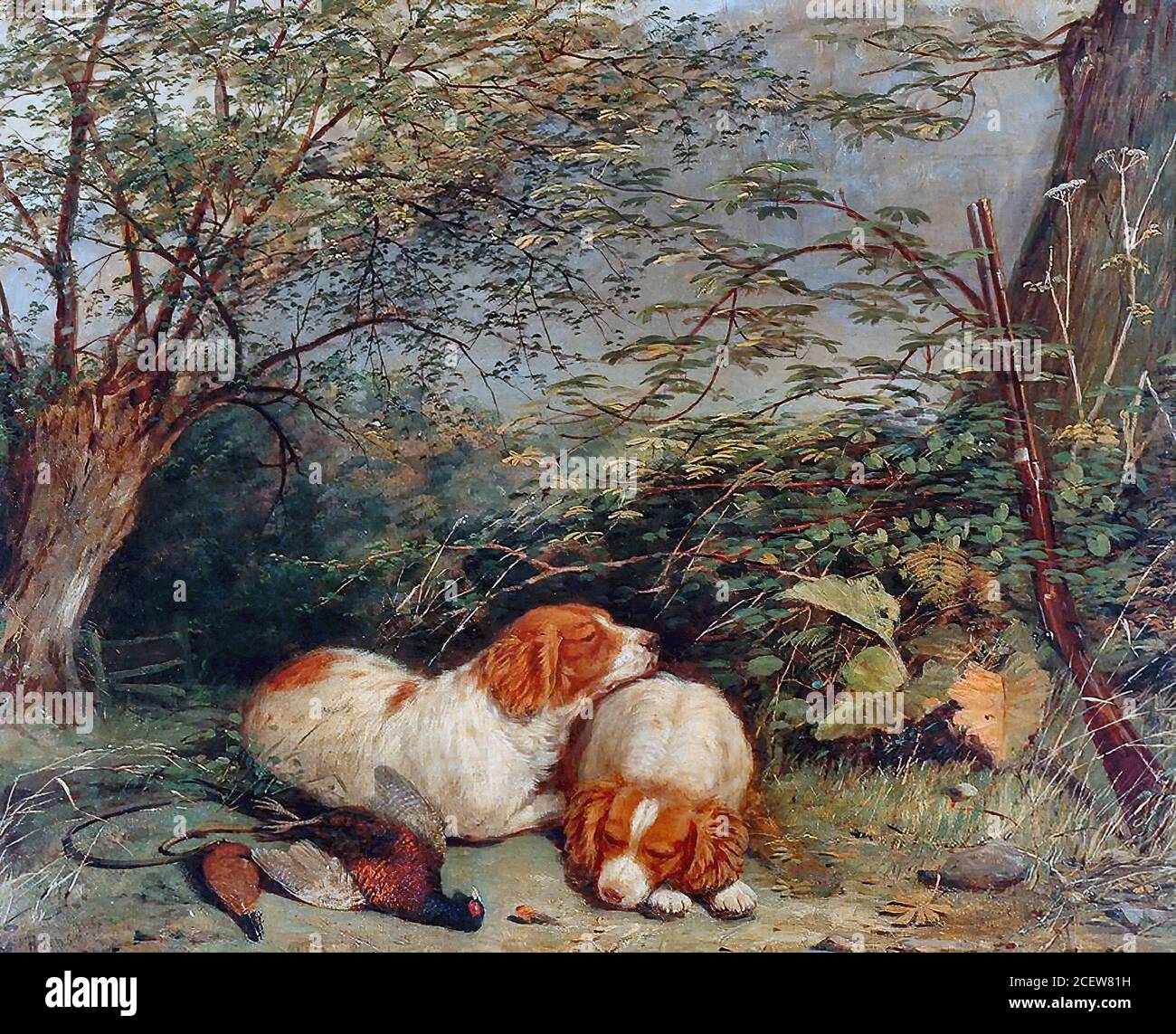 Ansdell Richard - Dogs and a Pheasant - British School - 19th Century ...