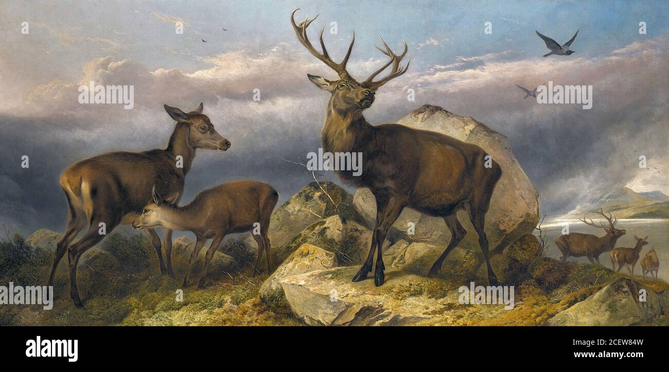 Ansdell Richard - Home of the Red Deer - British School - 19th Century ...