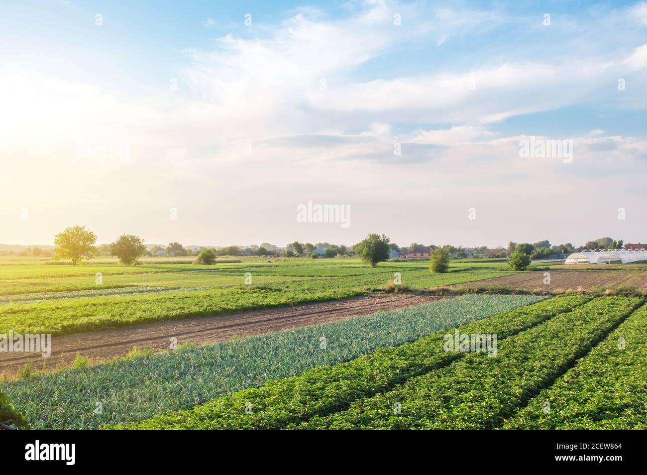 Wonderful european summer countryside landscape of farm fields ...