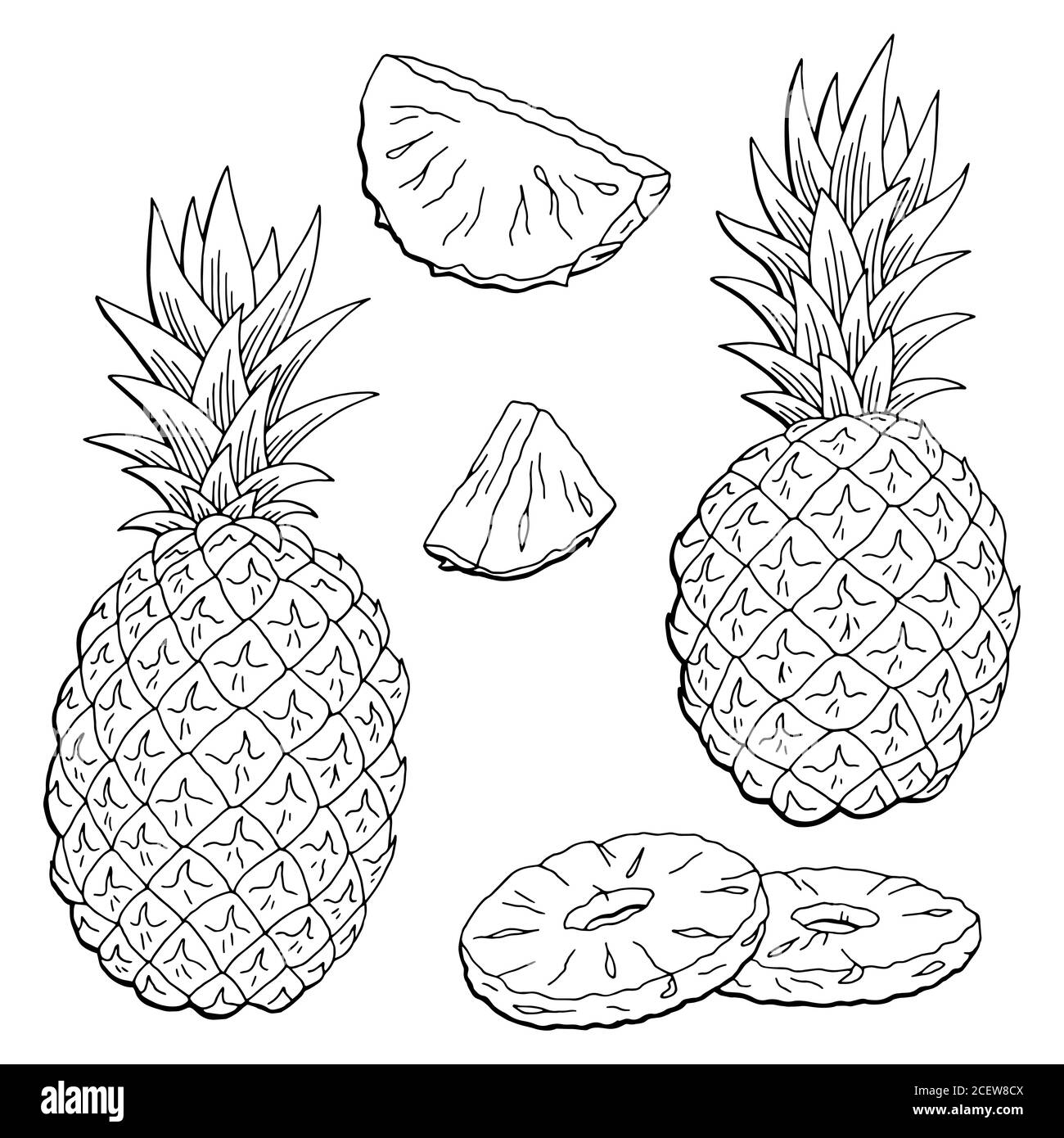 Cartoon Pineapple Black And White